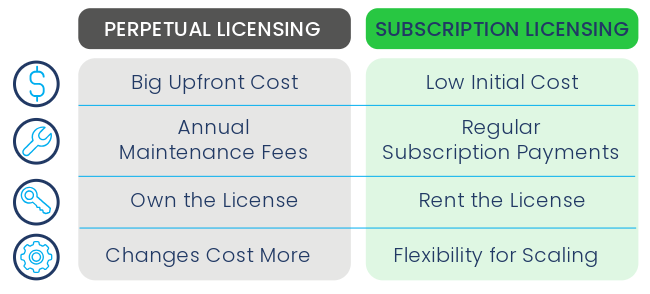 What Are the Major ERP Software Licensing Models?